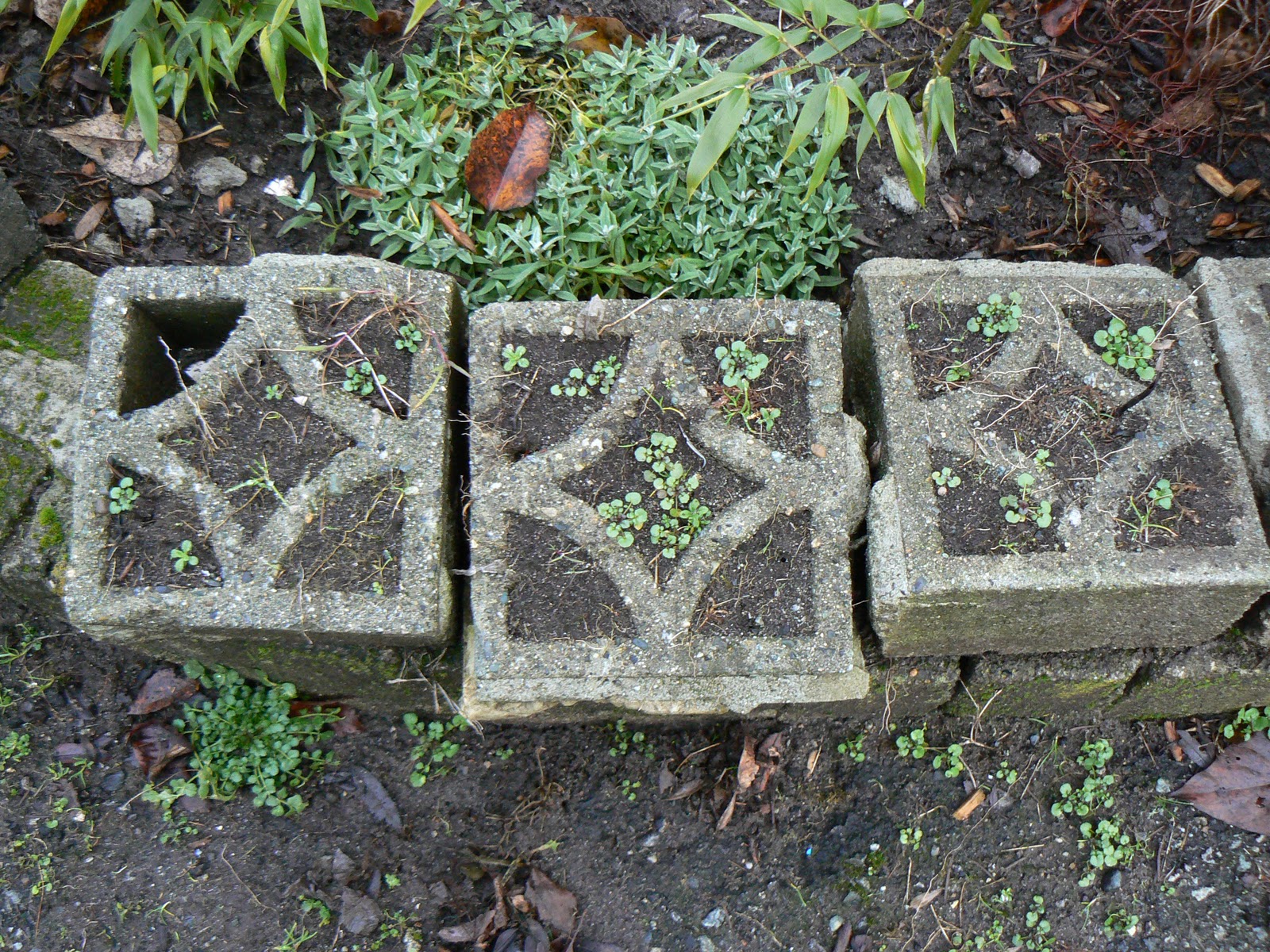 Joy and Wonder: Mid-century concrete block fences