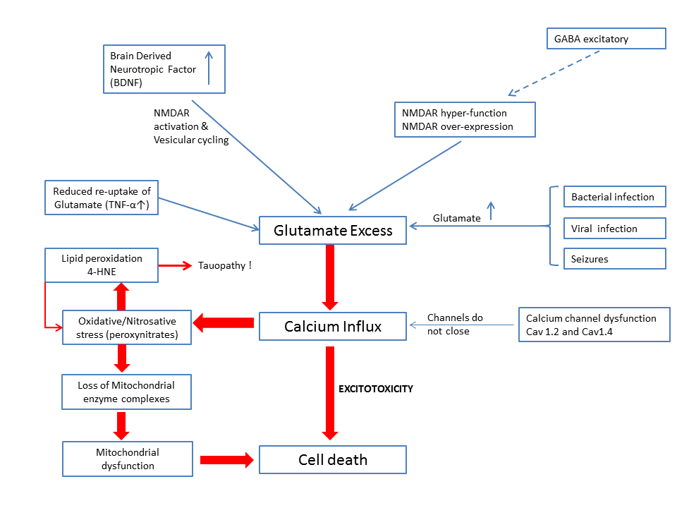 Epiphany: The Glutamate Side of Things