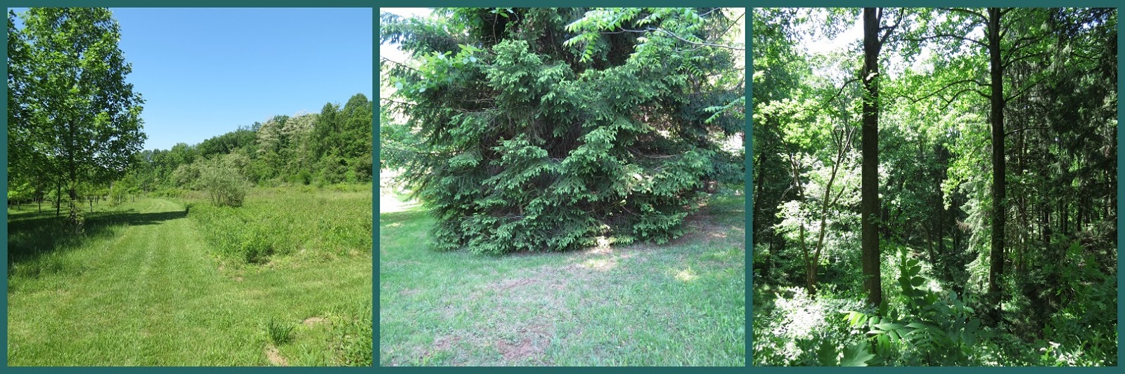 Viewing nature with Eileen: Charlotte's Quest Nature Center