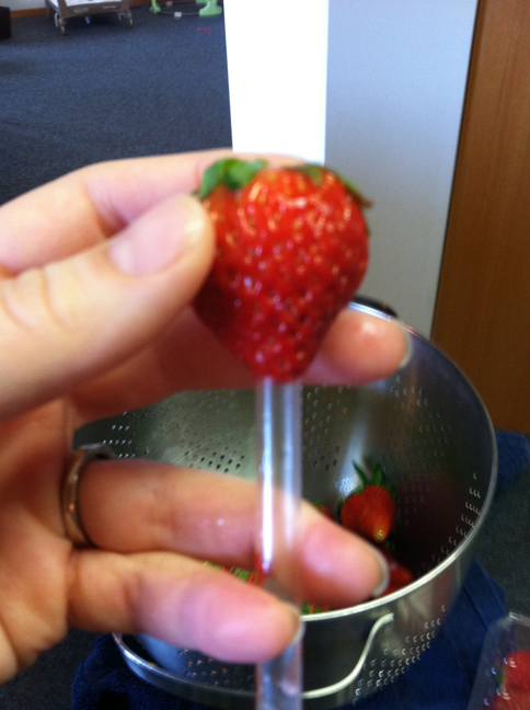 JAKES Place: How to easily core a strawberry