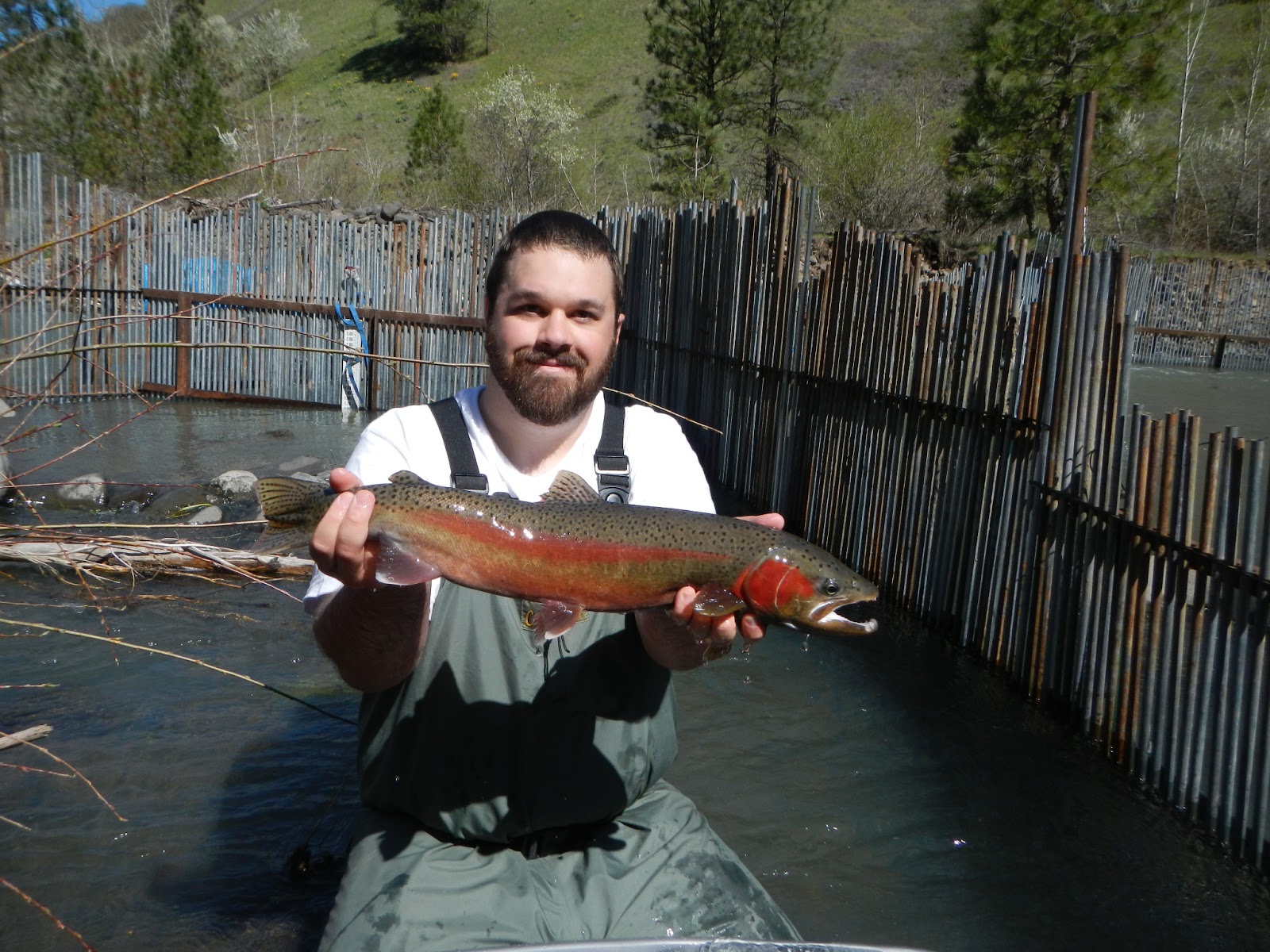 Bryanlikestofish: A Day at the Office