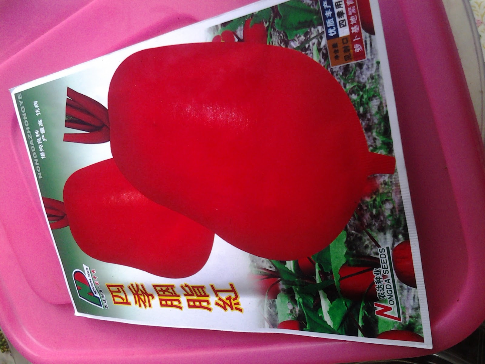 Chinese Radish 'Dragon' F1 Hybrid | My Mix Garden