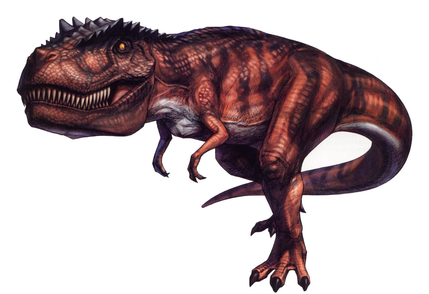 Scary Dinosaurus : Gigantosaurus
