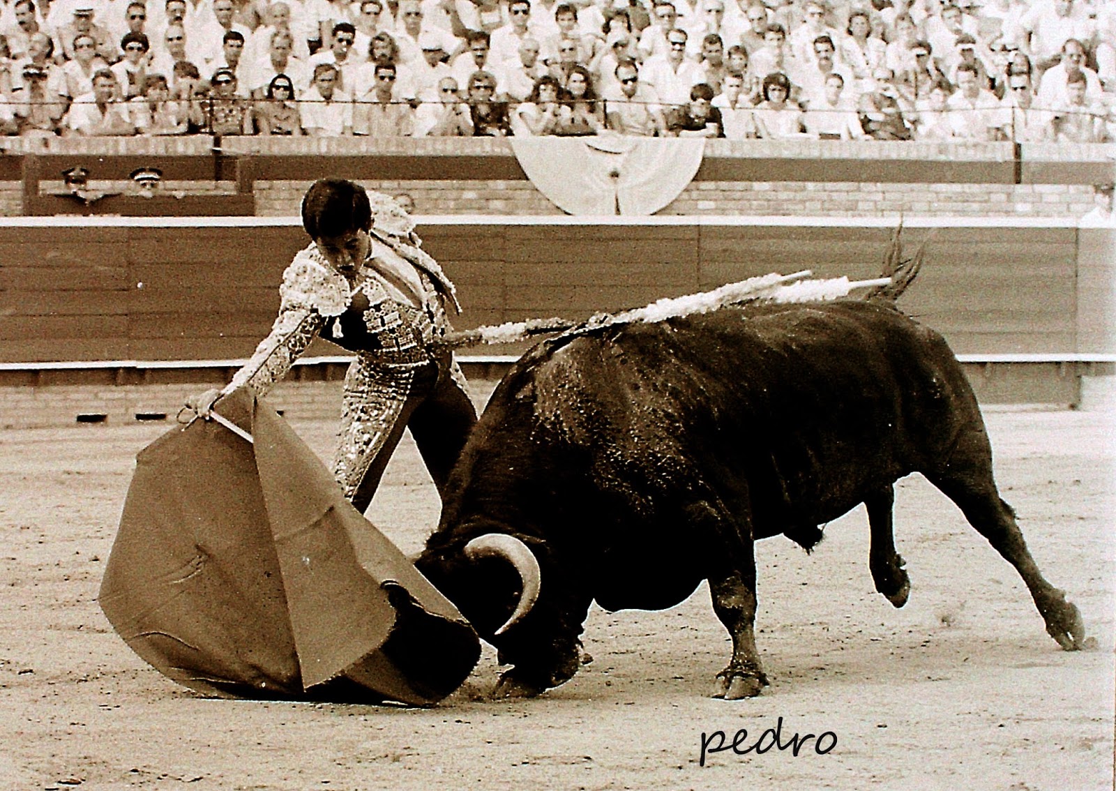 Lascosasdeltoro: Pedro Gutierrez Moya "EL Capea" Un sabio de Toreo