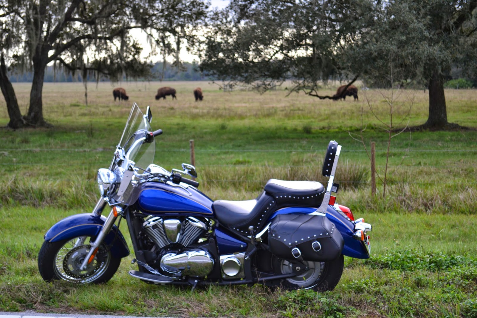 Back Road Motorcycle Rides: Airboats, Alligators, and riding Florida ...