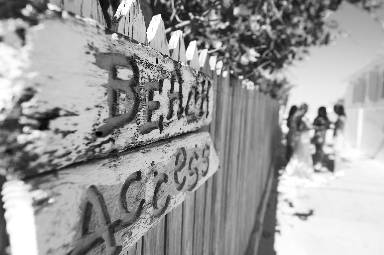 Pattie Mims: Sloan & Yates