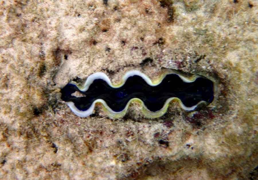 go-where-the-sun-takes-you: DAY 14: THAILAND - PHI PHI ISLAND: speed ...