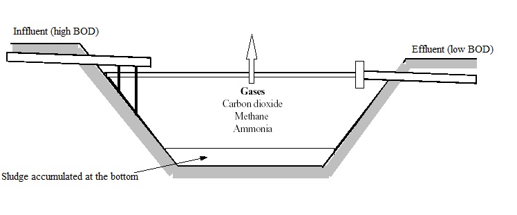 SEWAGE TREATMENT | UNDISPUTED MICROBIOLOGY LITERATURE
