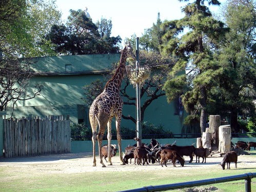 Palermo - Zoologico de Buenos Aires II