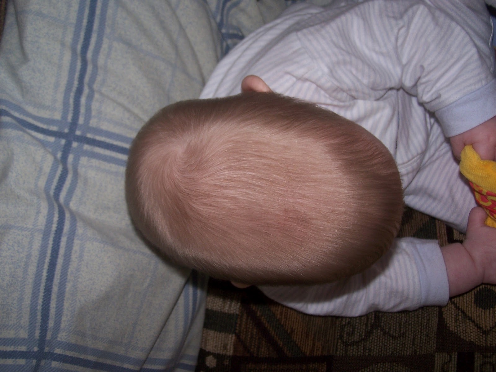 My Chesters: Breech head?