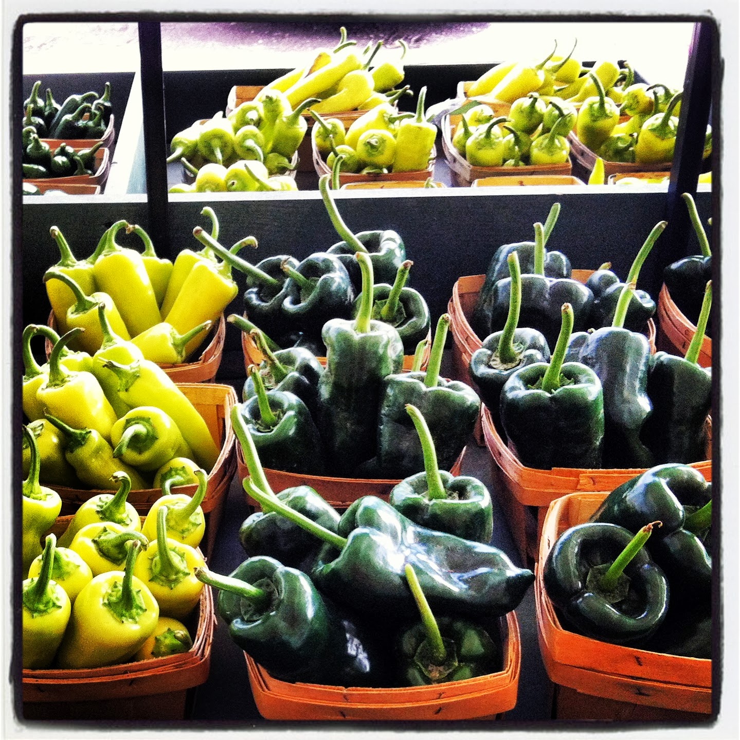 East Meets West Veg: Shopping for Local Farm Fresh Produce at Olejnik Farms