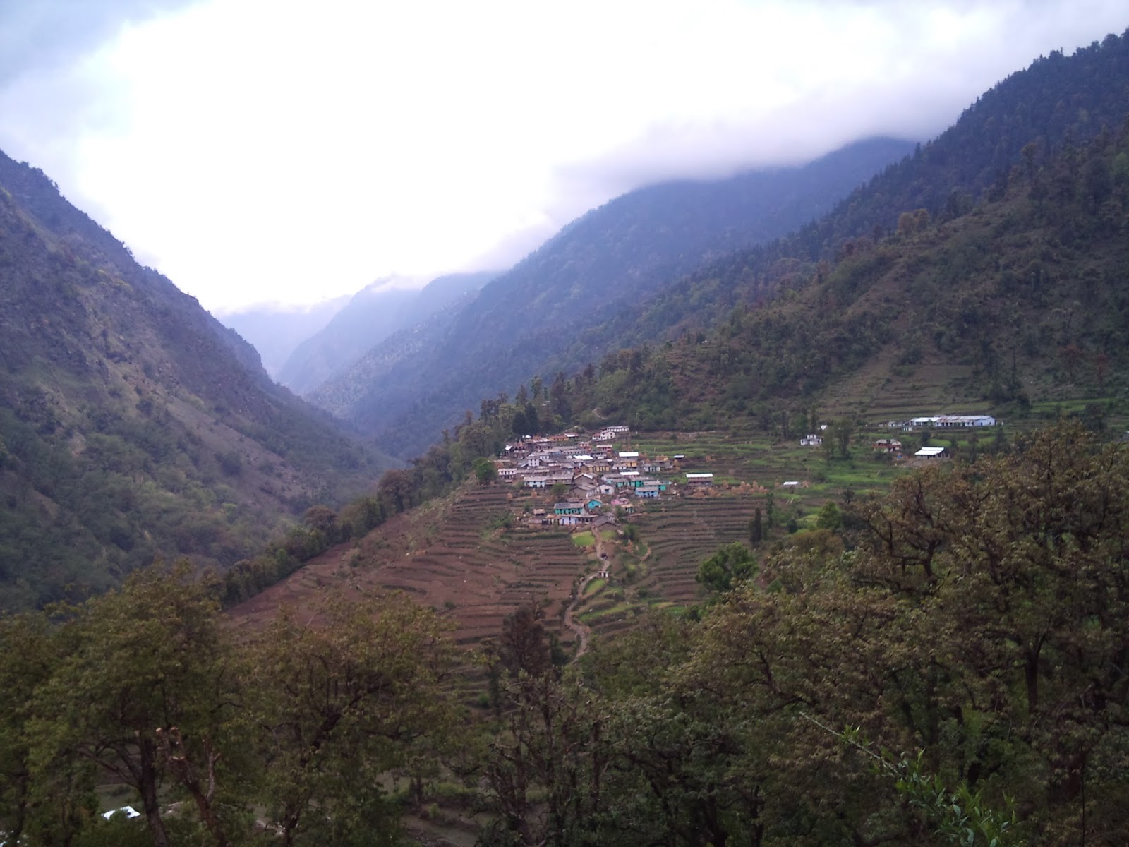 A Walk in the Pindari Valley