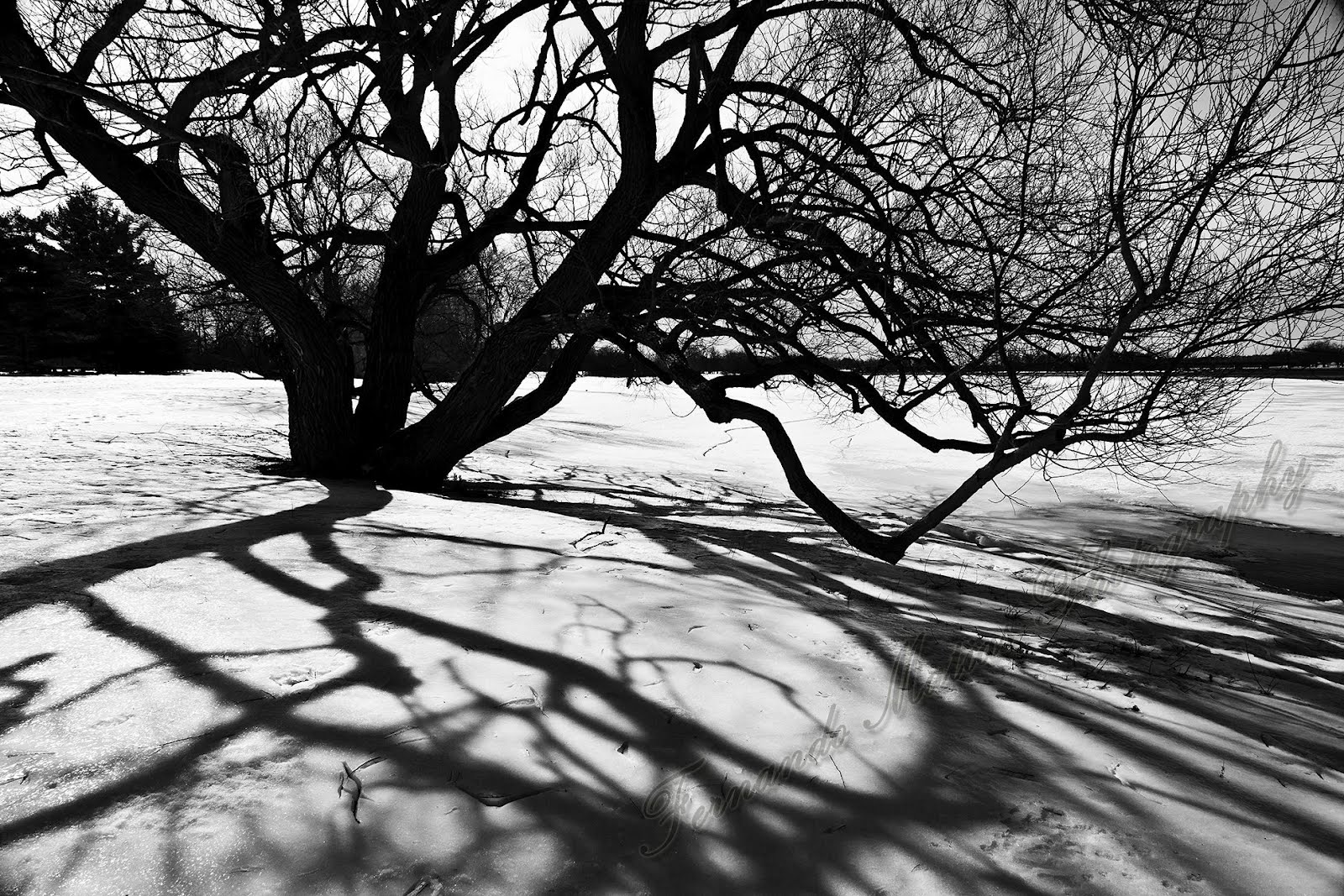 Fernando Matias Photography - Ottawa Ontario - Ottawa Wedding ...