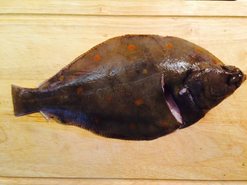 John's Blog: FLATFISH