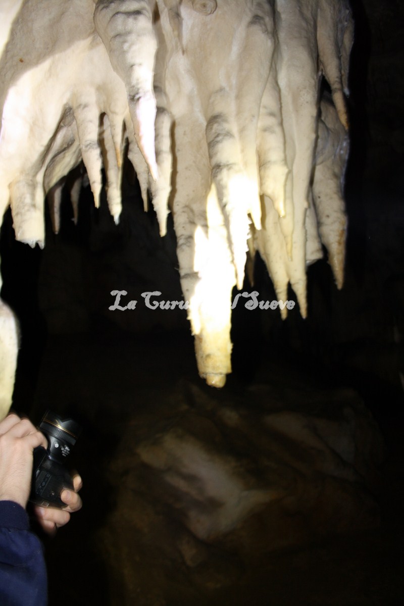 El Blog de La Curuxa del Sueve: CUEVA DE PANDO