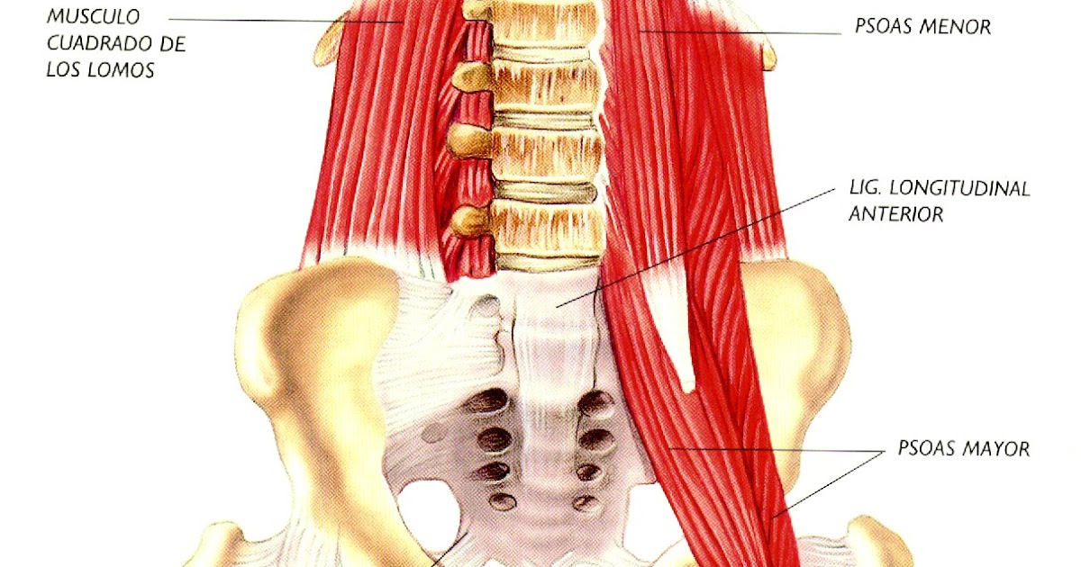 Medspine PatologÍas 1 Dolor Lumbar Crónico