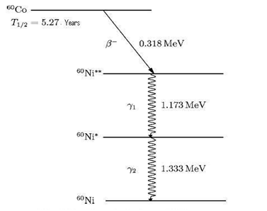 Conceptual Physics: Decay Level Scheme of Co-60