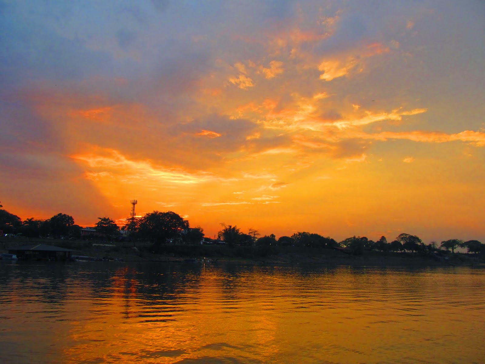 Espacio de Pesca: Pesca payara en el Rio Yucao y Manacacias, Puerto ...