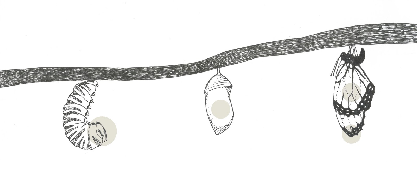 Mamen Díaz Ramírez : Crisalidas