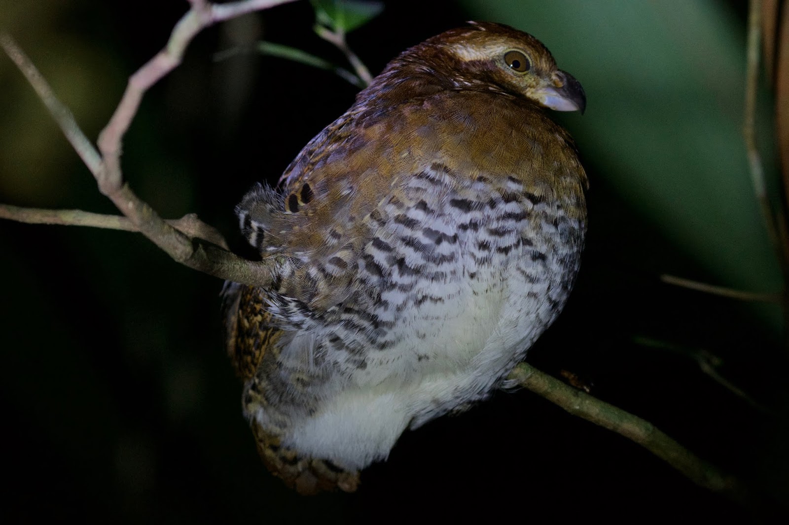 Jan Axel's Blog: April 2019