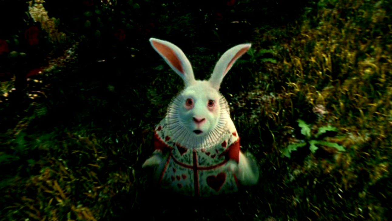 Alice In Wonderland White Rabbit Wallpaper | Wallpapers Gallery