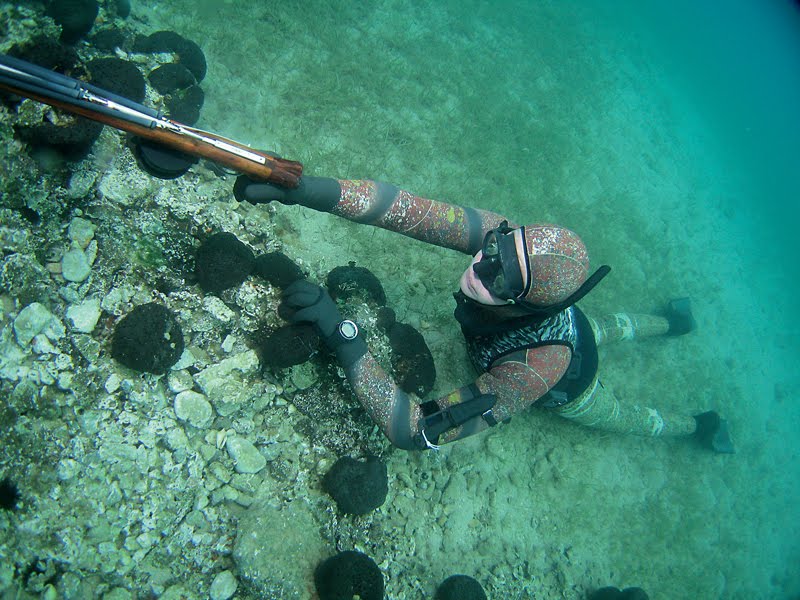 deep blue sea news: ΨΑΡΙΑ ΚΑΙ ΨΑΡΕΜΑΤΑ ΜΕ ΨΑΡΟΝΤΟΥΦΕΚΟ