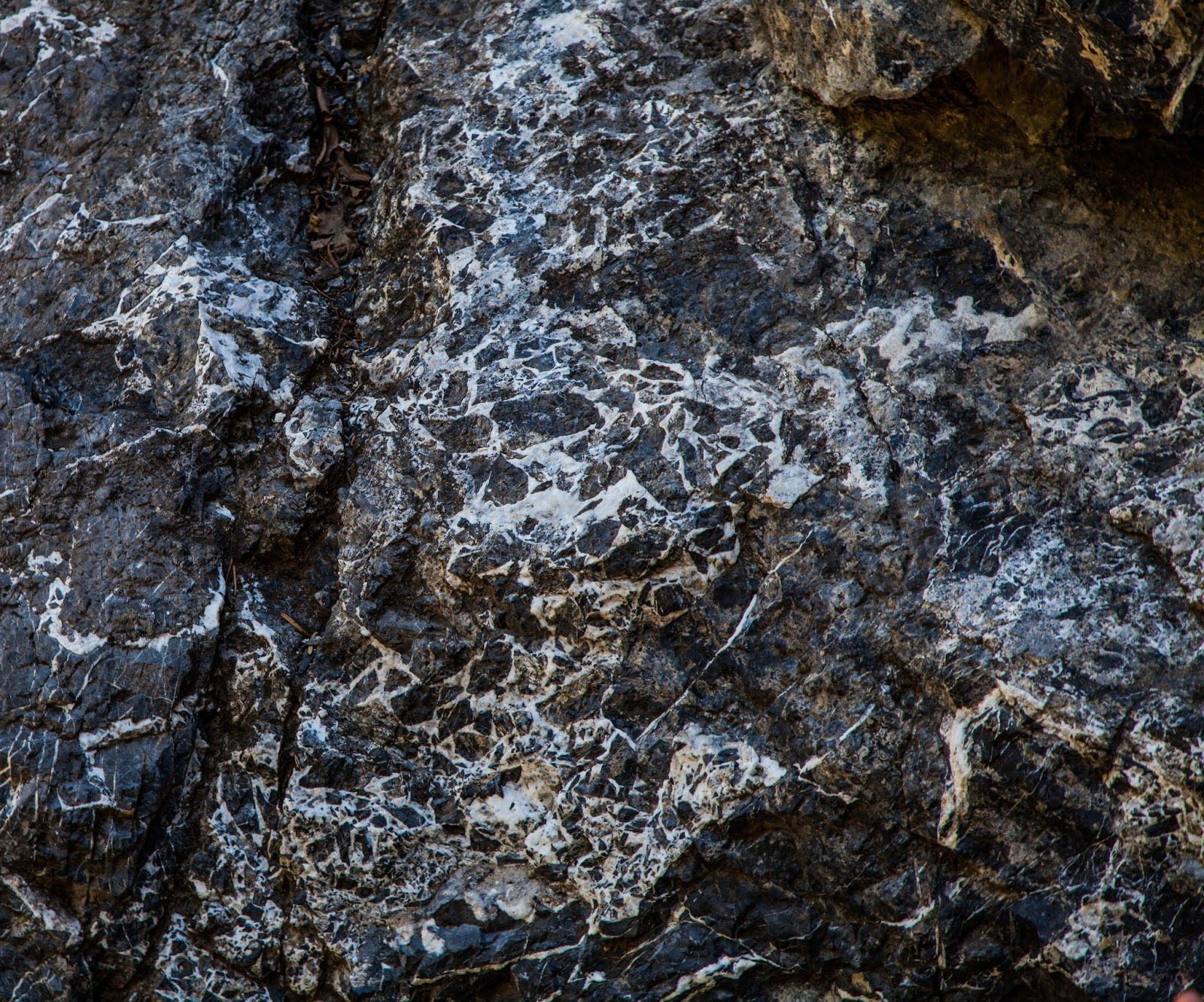 Walking Arizona: Quartz Veins