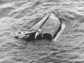 ACravan: Ice Blink; Mahogany Flotsam (Captain Hatteras 2)