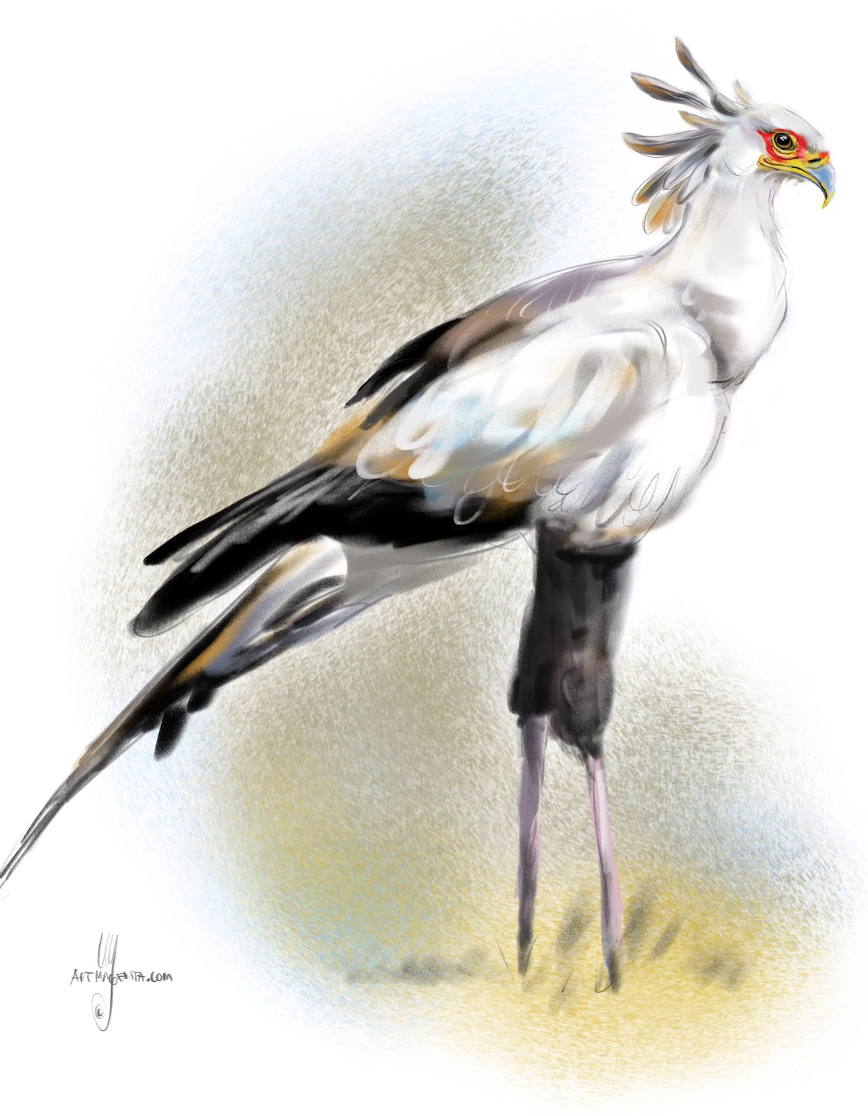 Secretary Bird Drawing