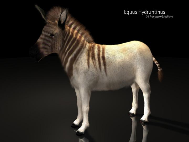 ShukerNature: THE ZEBRO - AN EQUINE MYSTERY FROM IBERIA