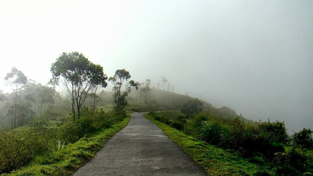 Uppukunnu View Point - Kulamavu, Idukki