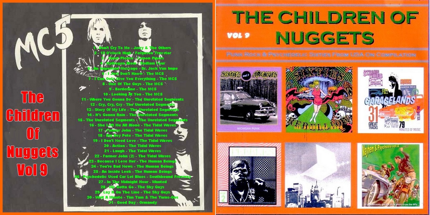 SIXTIES BEAT: The Children Of Nuggets Vol 9