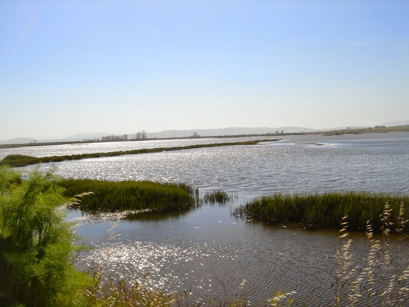 Cakes And Ale: Edgerly Island