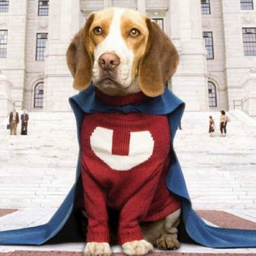 Cine infantil presenta este domingo «Supercan» en el Teatro Diego Rivera