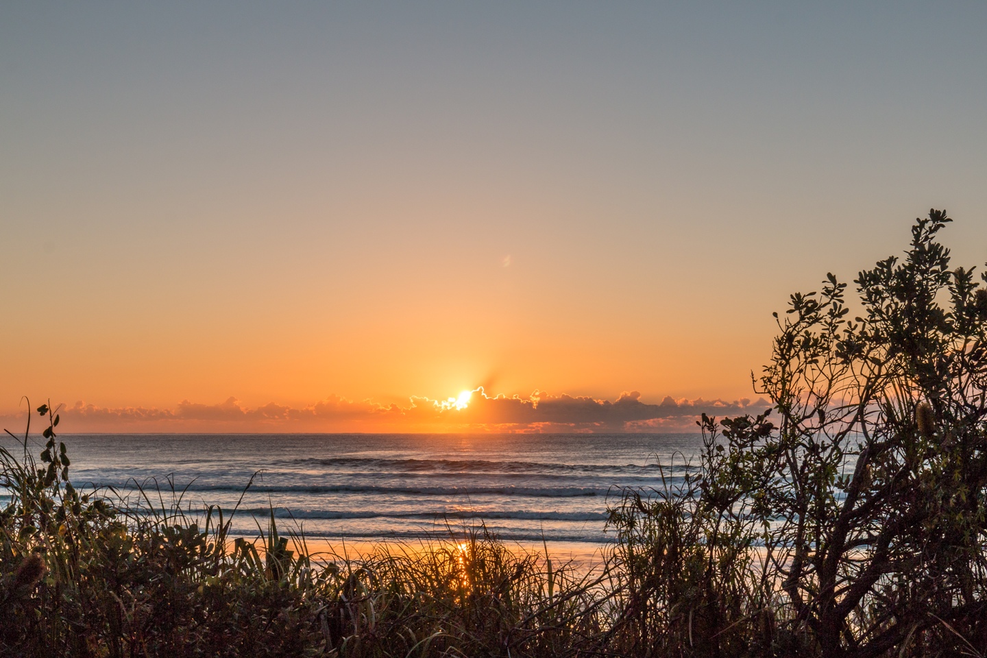 National Park Odyssey: Illaroo Campground, Yuraygir National Park, NSW.