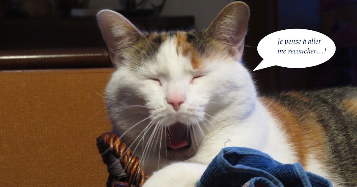 La cuisine de Messidor: Pause surprise