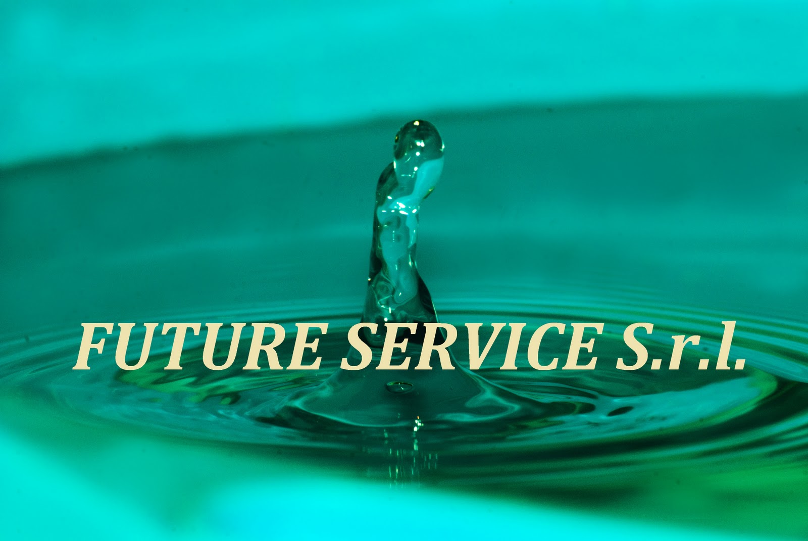 Future Service S.r.l.: Contatti