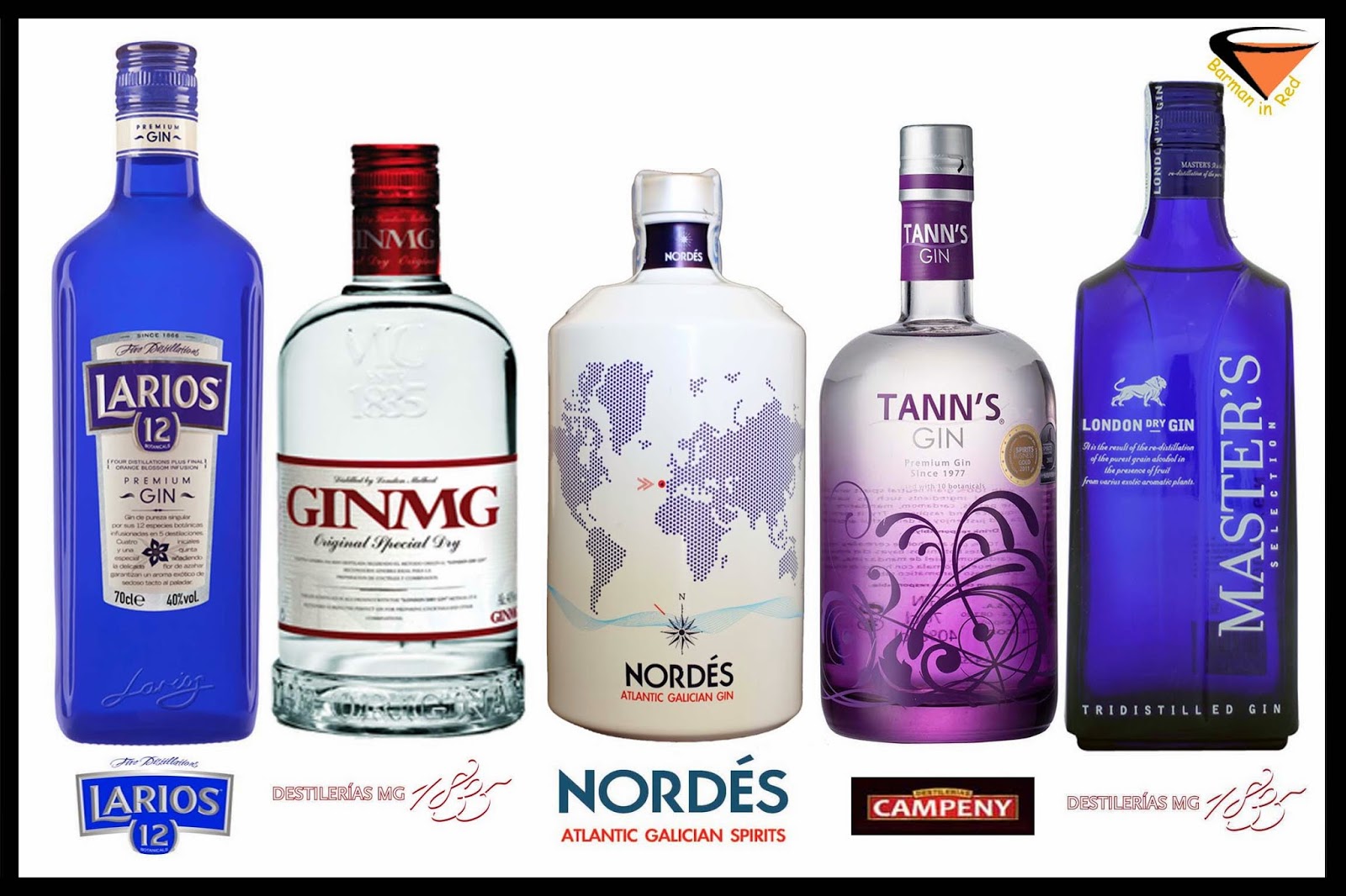 10 mejores ginebras Españolas