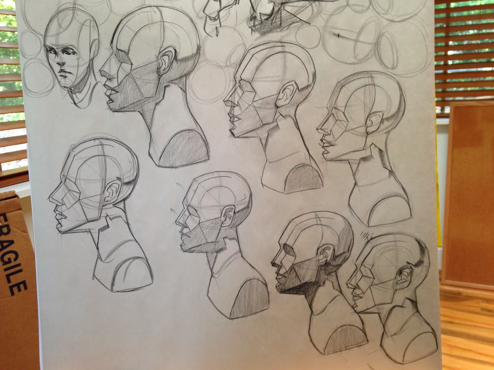 Drawing Madness!: Planar head studies and some more sculpts