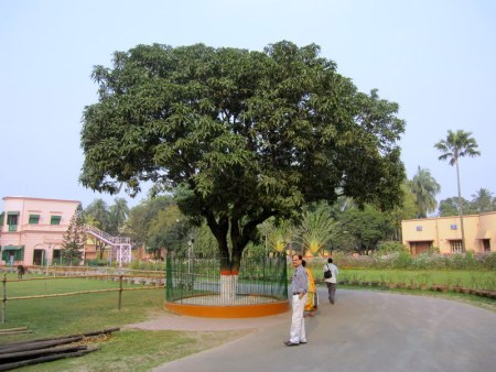 NIRVANA: Kalpataru -- The Wish Fullfilment Tree ! :D