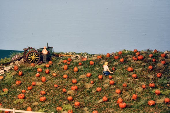 White River Division: Harvest Time - Pumpkin Patch Restoration
