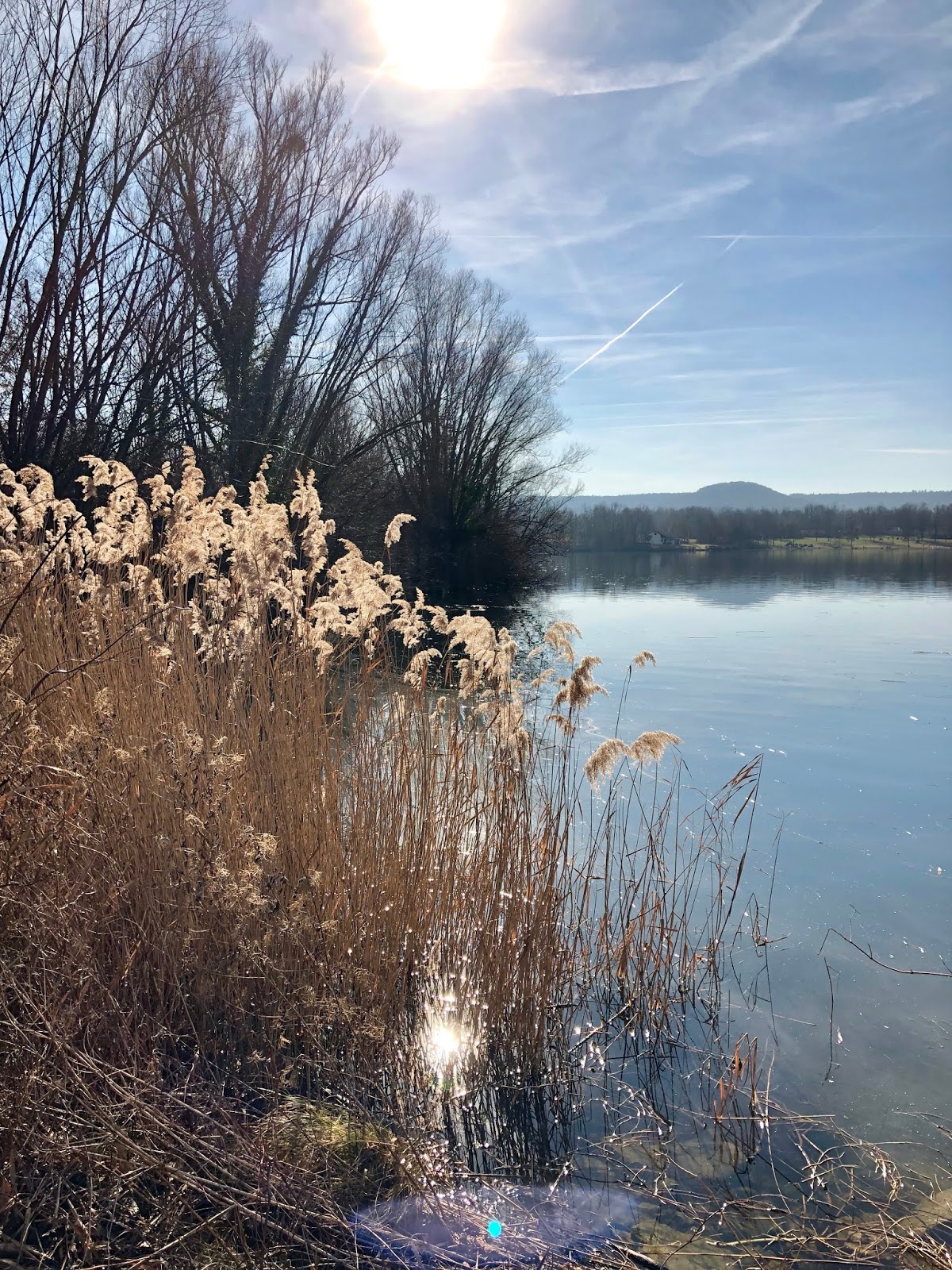 views-by-A: Breitenauer See an einem schönen Wintertag