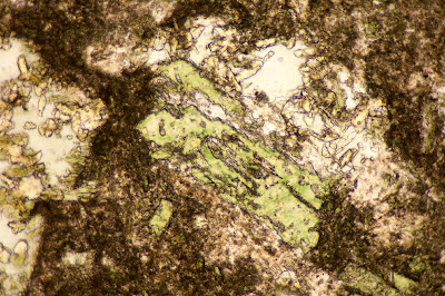 Metabasites: Fine-grained poikiloblastic greenstone