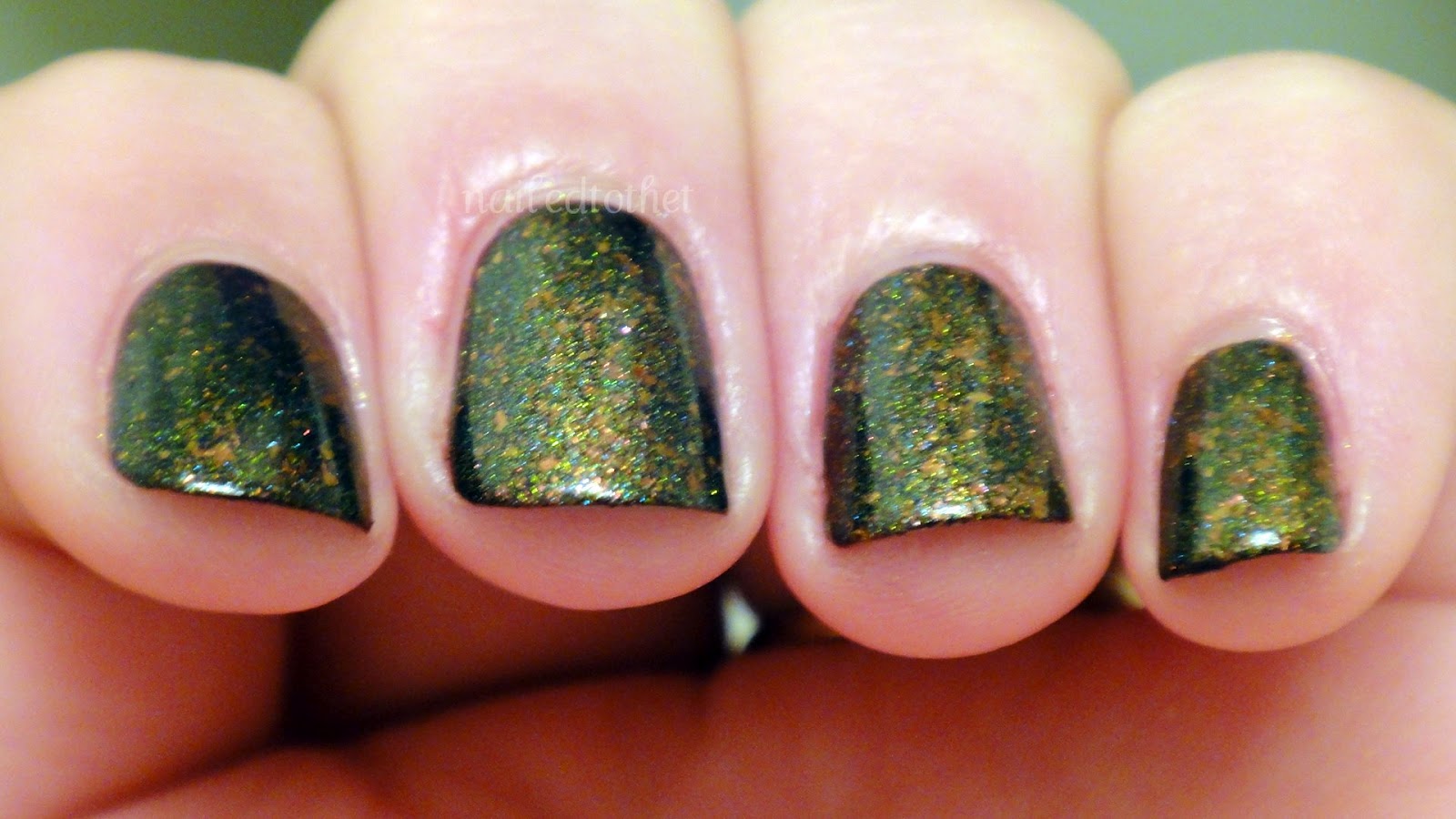 Nailed to the T: Zoya Anja & Nail-Venturous Rustic Remains