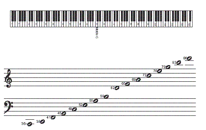 La Música es un Arte: El mundo de las notas musicales