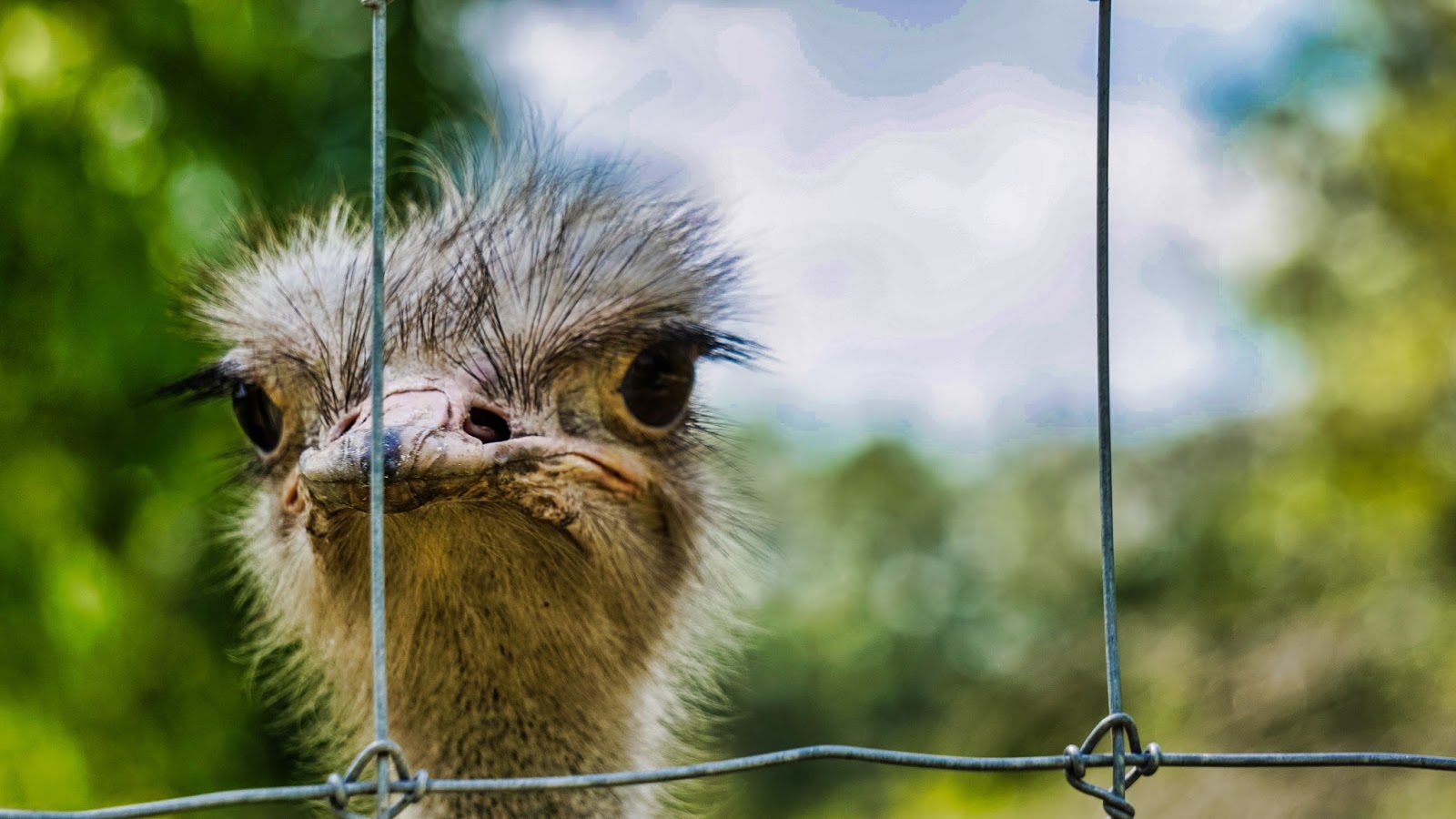 Photography by Richard Bublitz, New Berlin, Wisconsin: A Brief History ...