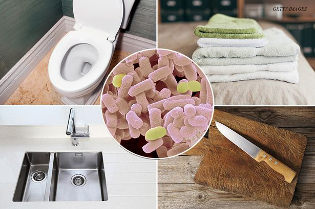 GetMore: The most germ-ridden object in your house, Definitely NOT the ...