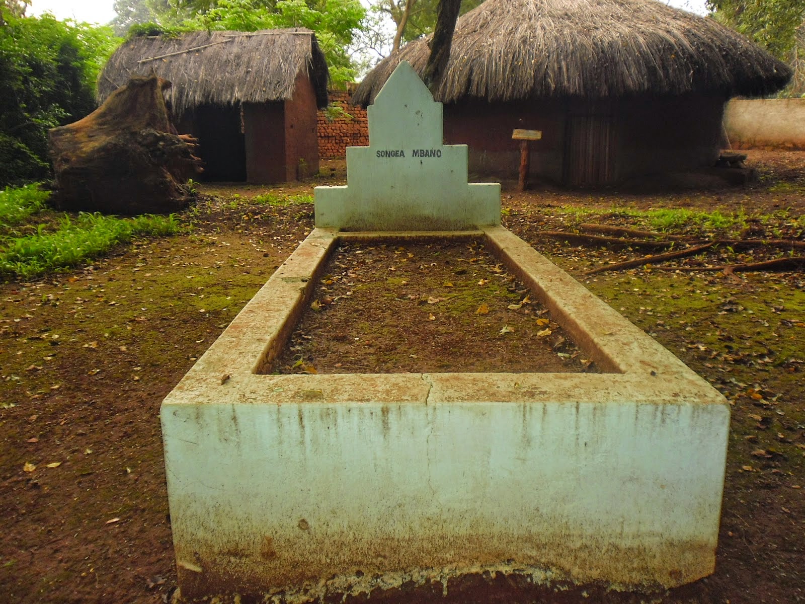 ASILI ASILIA: UNTOLD ATTRACTIONS ABOUT THE UNIQUE SONGEA..