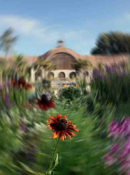 Emma Hendrickson's Blogawoga