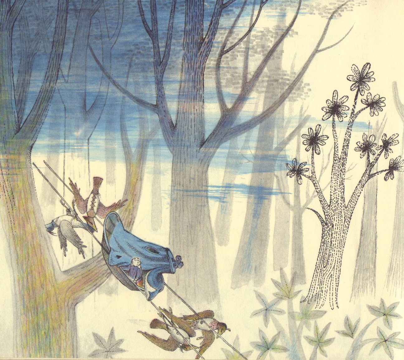 Books For Breakfast: Mr. Biddle and the Birds